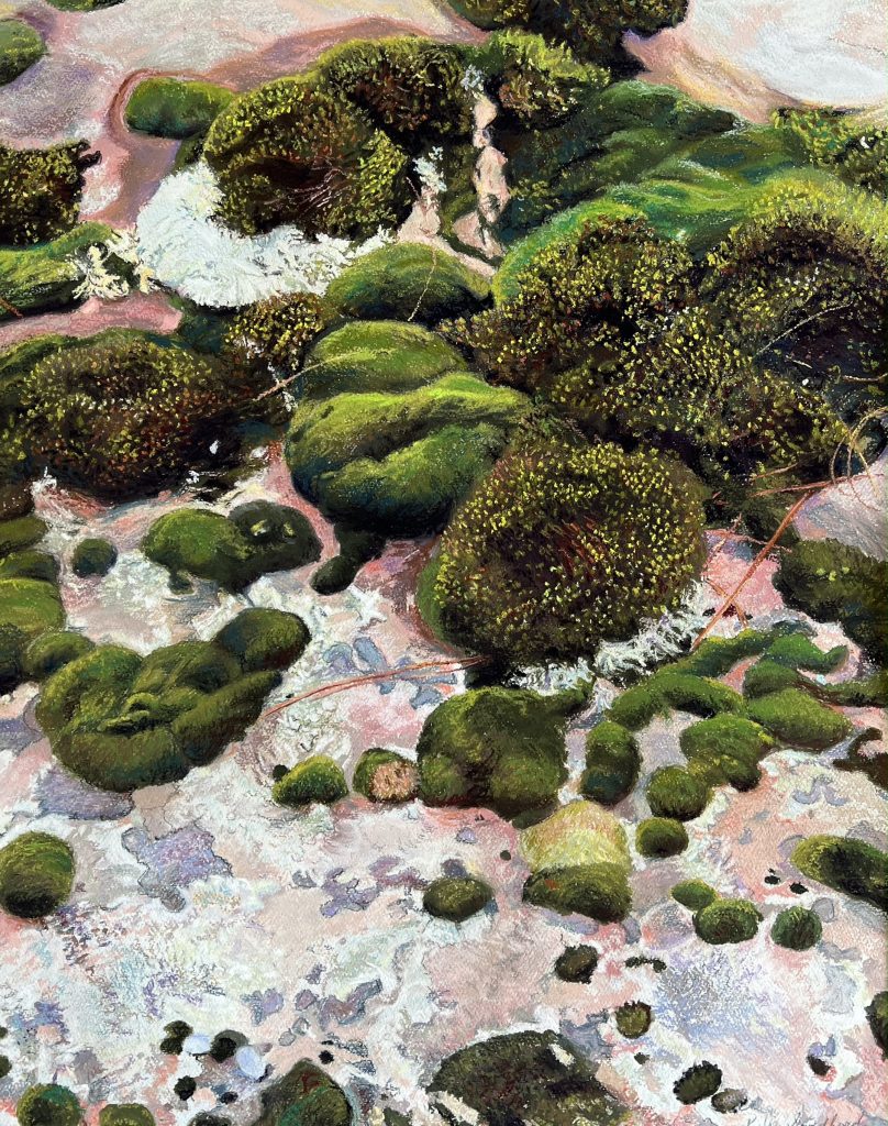 Microcosm l - Jackson's Art Gallery: Buy Original Artwork Online