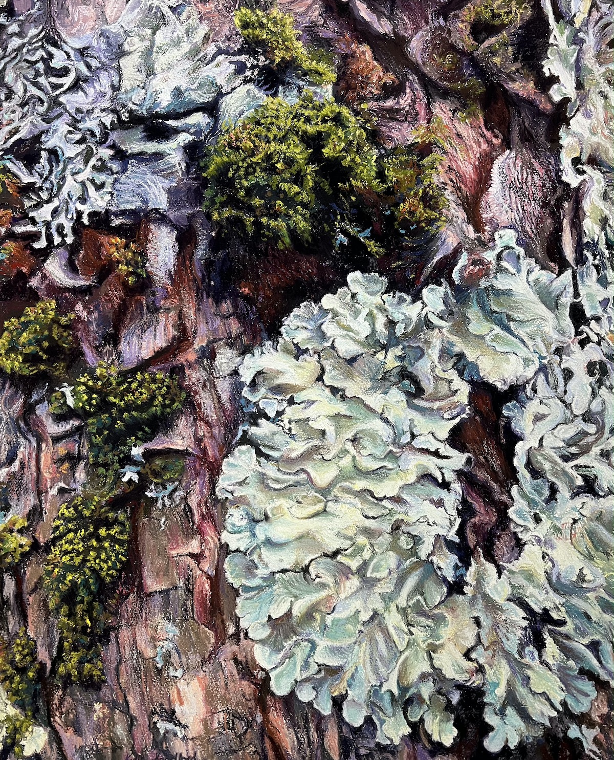 Microcosm II - Jackson's Art Gallery: Buy Original Artwork Online